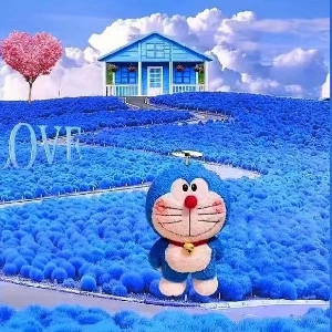 小小苏琴 