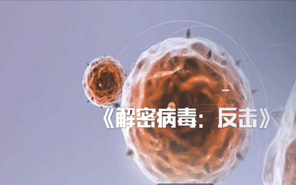 病毒入侵人体时,免疫系统是如何反击的?