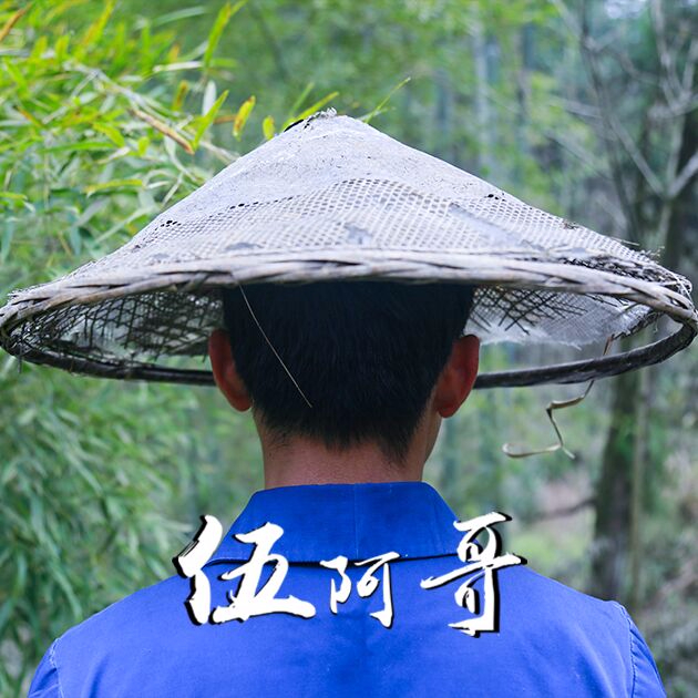 伍阿哥视频 