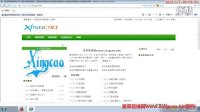 星草营销-如何设置IE浏览器主页?