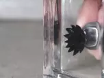 十个简单易行科学小实验,去给你的小伙伴装逼吧