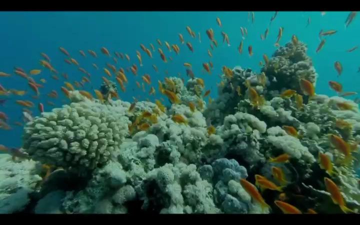 ...VR眼镜,VR学习机,VR补习——六子台科技开发的新型探索教育新形式