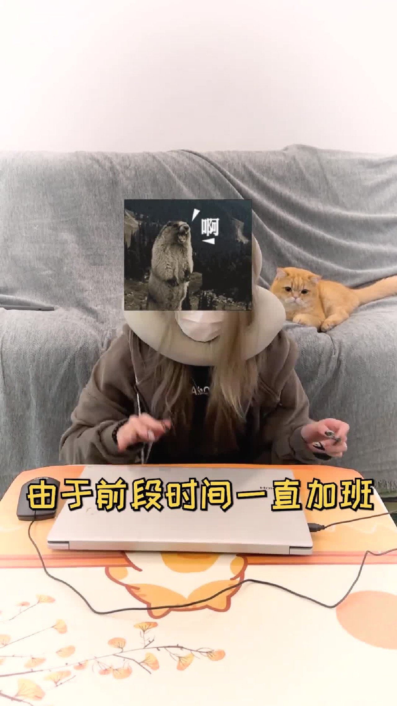 大家说这到底是怎么回事啊萌宠出道计划猫咪生日