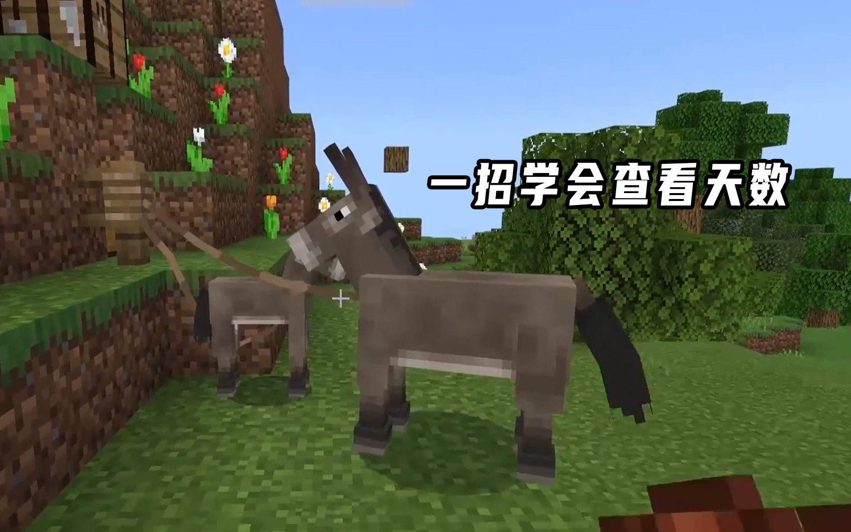 我的世界贝爷生存8:一招学会查看天数,老迪已经生存了281天