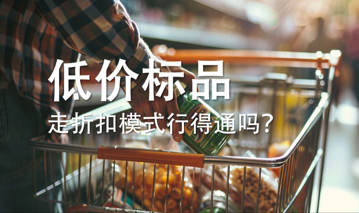 线下折扣店的挑战与前景:低价标品是否适合实体店经营?