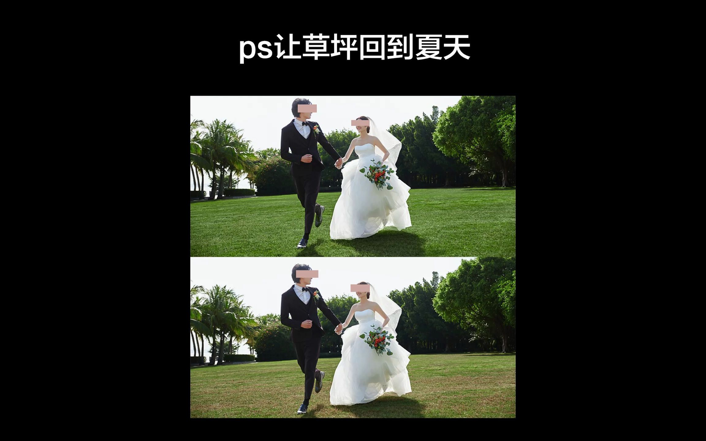 用ps让草坪绿色回到夏天