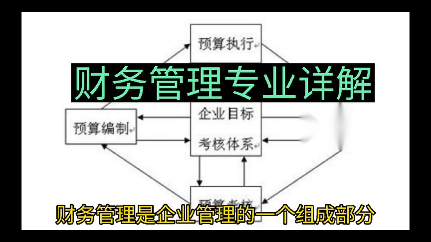 财务管理专业您了解吗