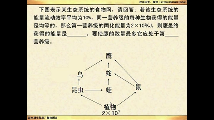 能量流动中最值和定值的相关计算题型