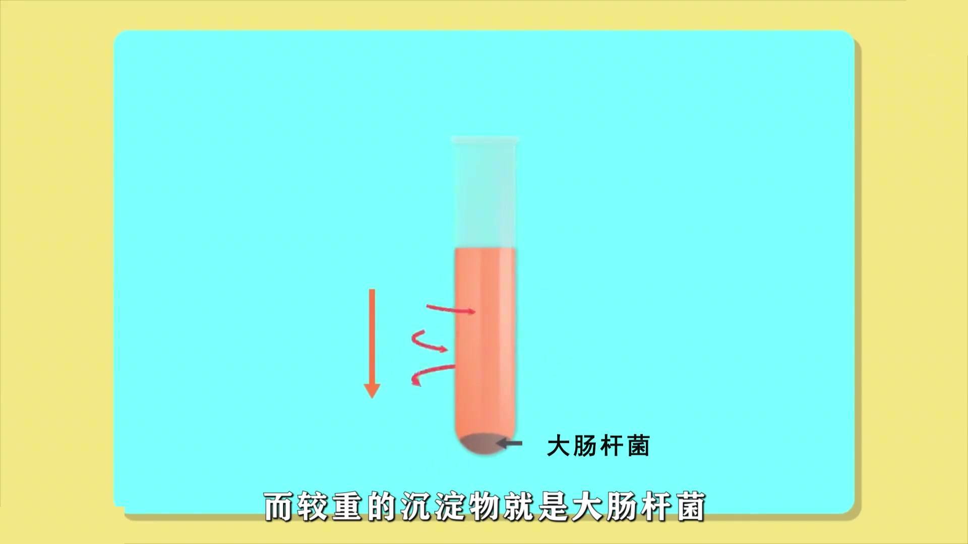 噬菌体侵染大肠杆菌的实验