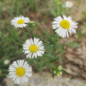 bili_1796834133 