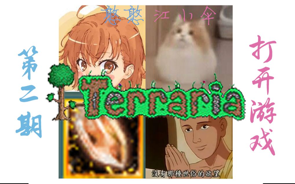 泰拉瑞亚|Terraria|跟萌新小姐姐一起玩泰拉【第二期】教她如何联机...