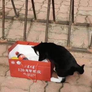 不可线性化 