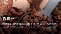 让我们一起来认识下咖啡豆