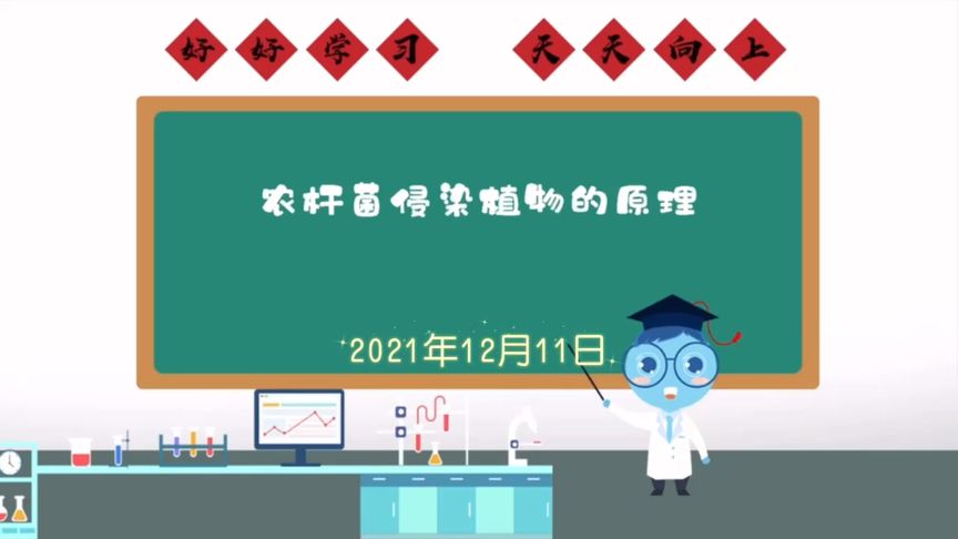 【农杆菌转化法】原理讲解,一次学会最常用的植物转基因技术