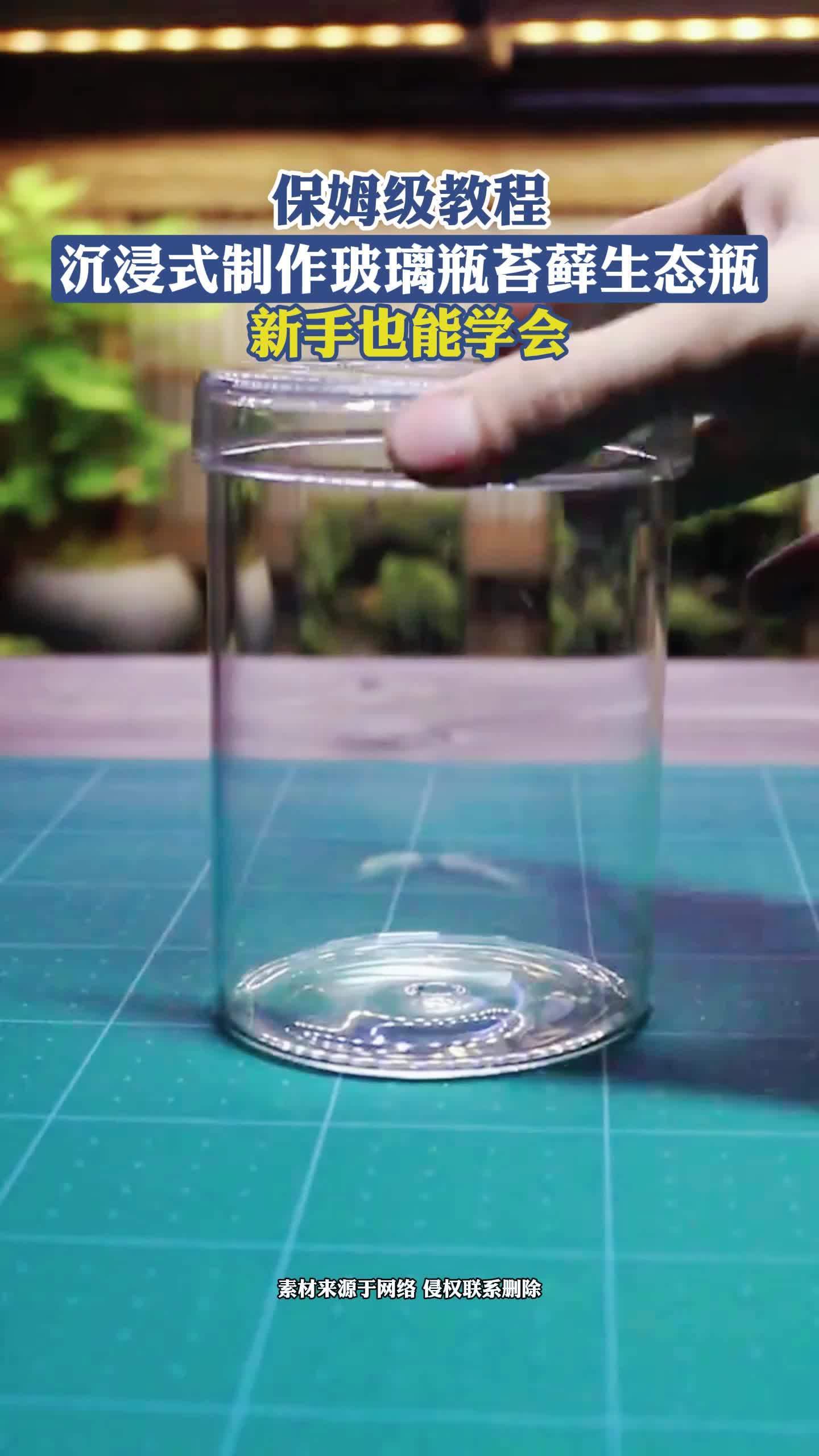 保姆级教程!沉浸式制作玻璃瓶苔藓生态瓶,新手也能学会