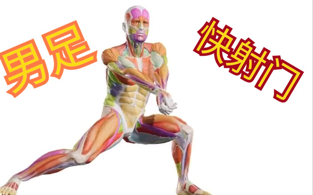 【动画】动画人体模型