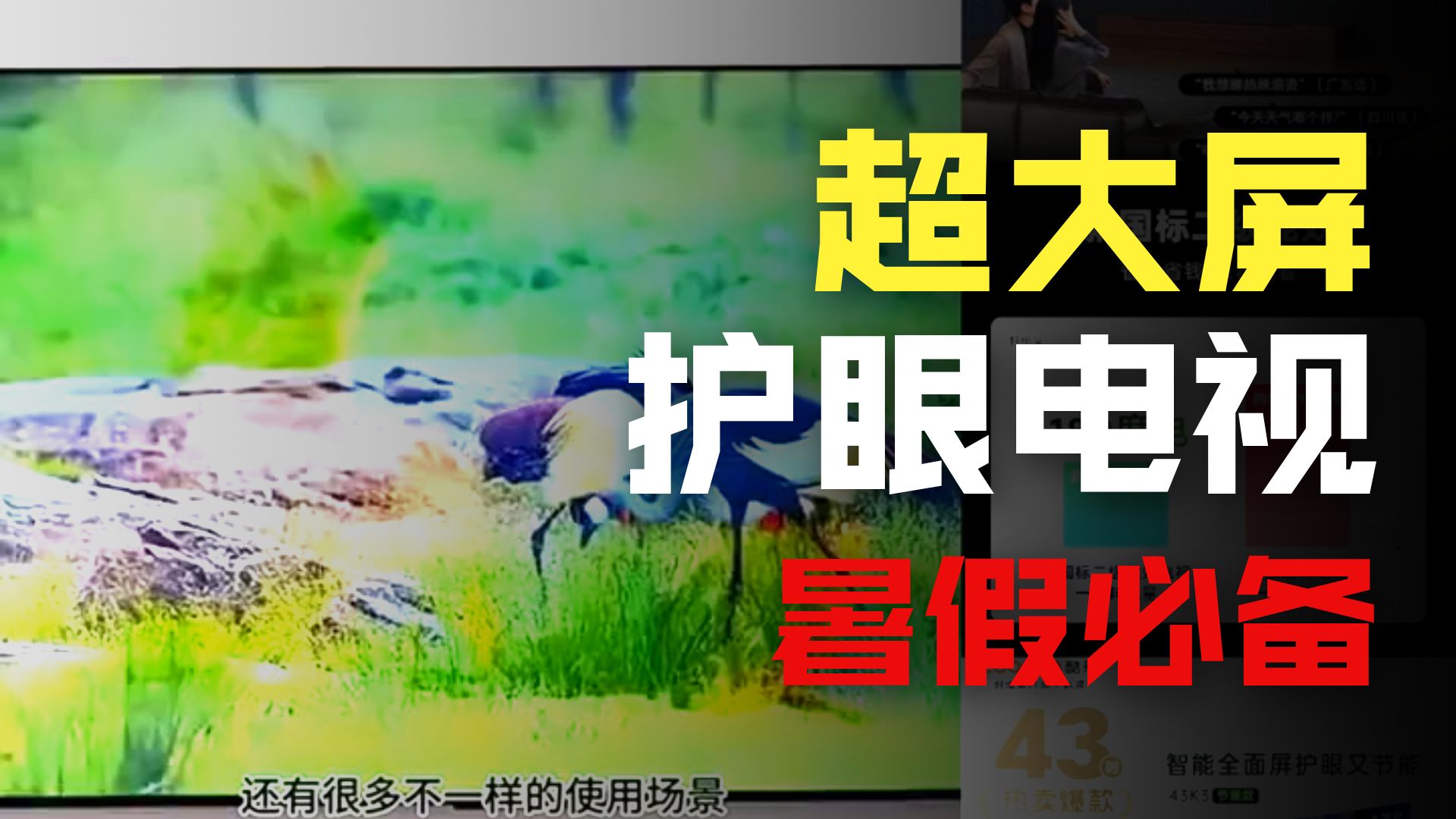 TCL电视 43V8L 43英寸 2GB+32GB大内存 护眼 AI语音 投屏 以旧换新 ...