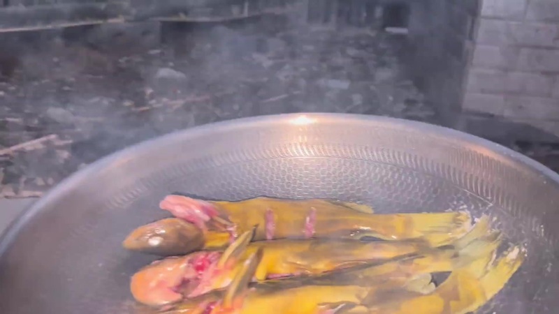 小九很喜欢农村生活,每天能吃上热腾腾的柴火饭,生活很安逸