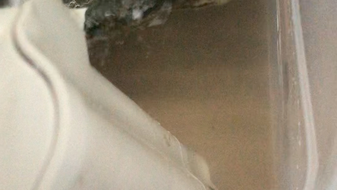 自制水族箱鱼缸过滤器养乌龟滤水器黄耳龟中华龟简单易学分享给大家