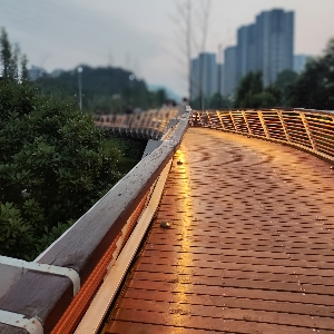 喵提线木偶 