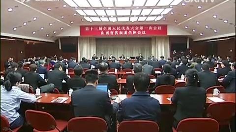 山西代表团举行全团会议和分组会议 审议“两高”工作报告