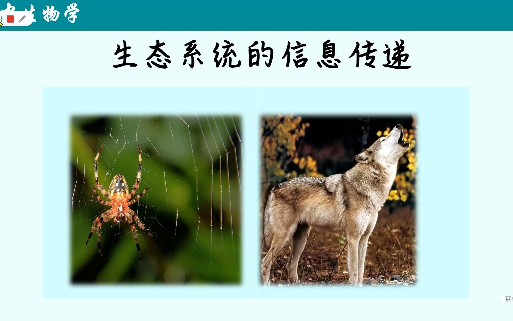 生态系统的信息传递.