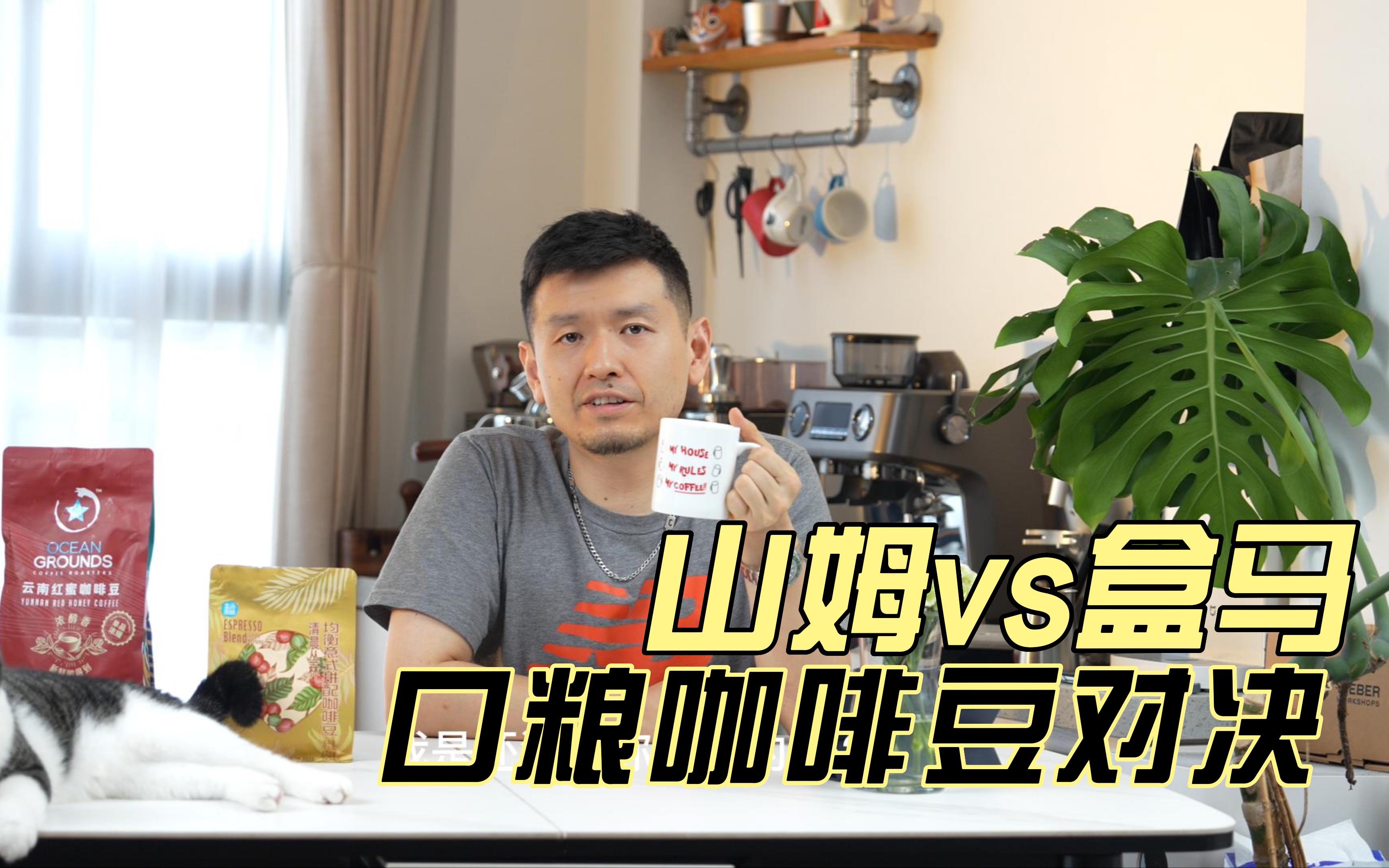 山姆红蜜vs盒马均衡 50多元一斤商超口粮咖啡豆对决