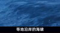 2004年印尼大海啸对印尼和东南亚等国造成了毁灭性的打击。