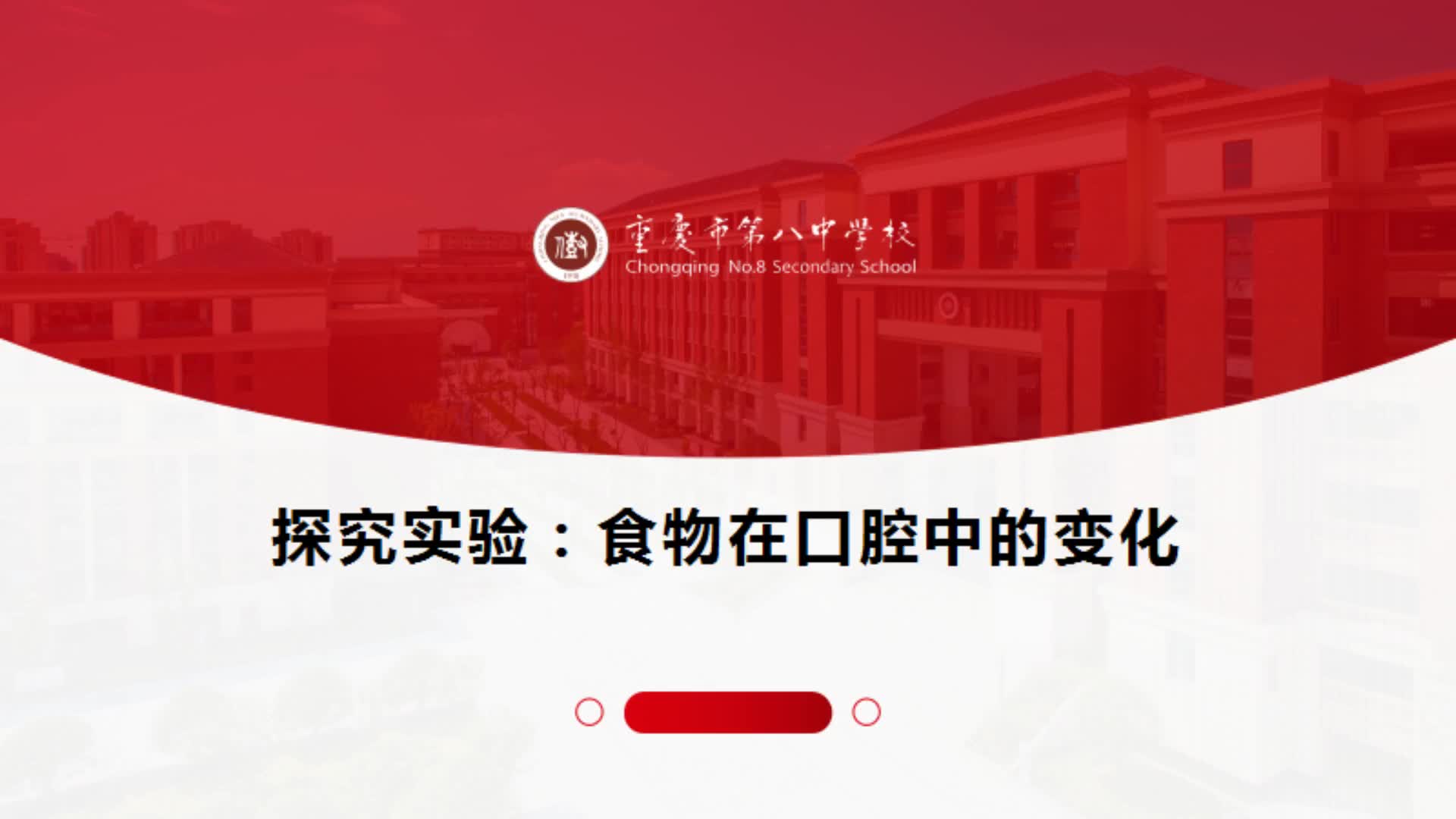 探究实验:食物在口腔中的变化(人教版初中生物七年级下册)