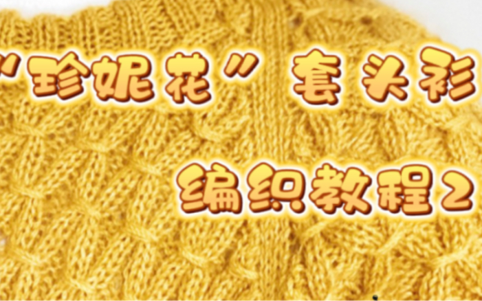 “珍妮花”套头衫 编织教程2