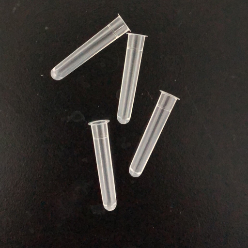 不得无李同学LT 