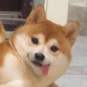 暂时不是占时 