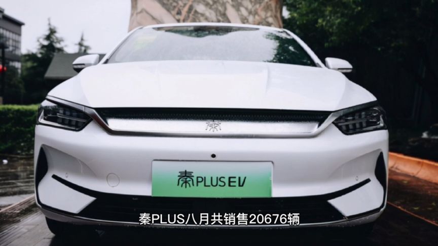 比亚迪秦和汉八月销量不错,让人吃惊全球电动车销量五菱排名第三