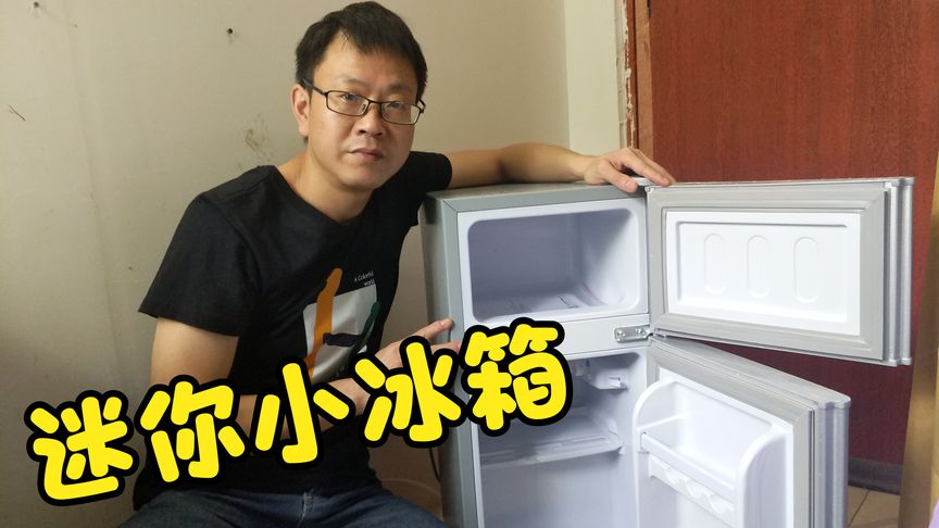 300元网购迷你小冰箱,容积42升还是双开门,只想用一个字来形容