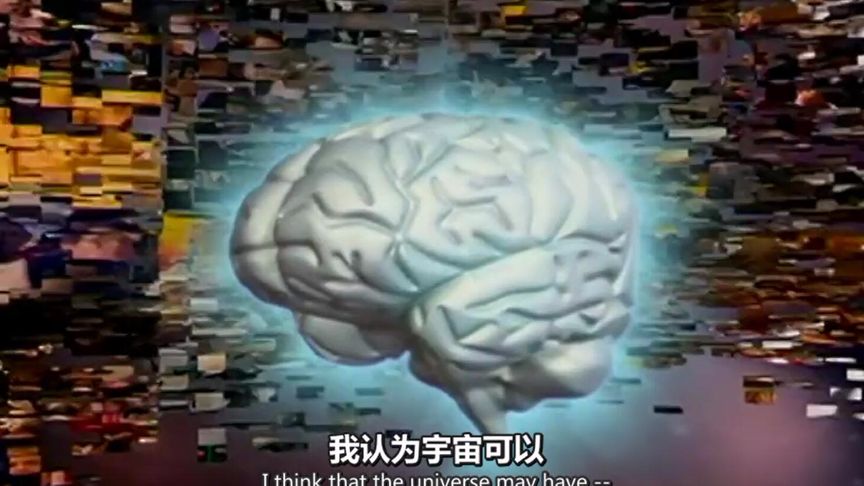 「TED」用超级计算机构造大脑