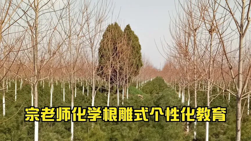 钢 的分类及用途