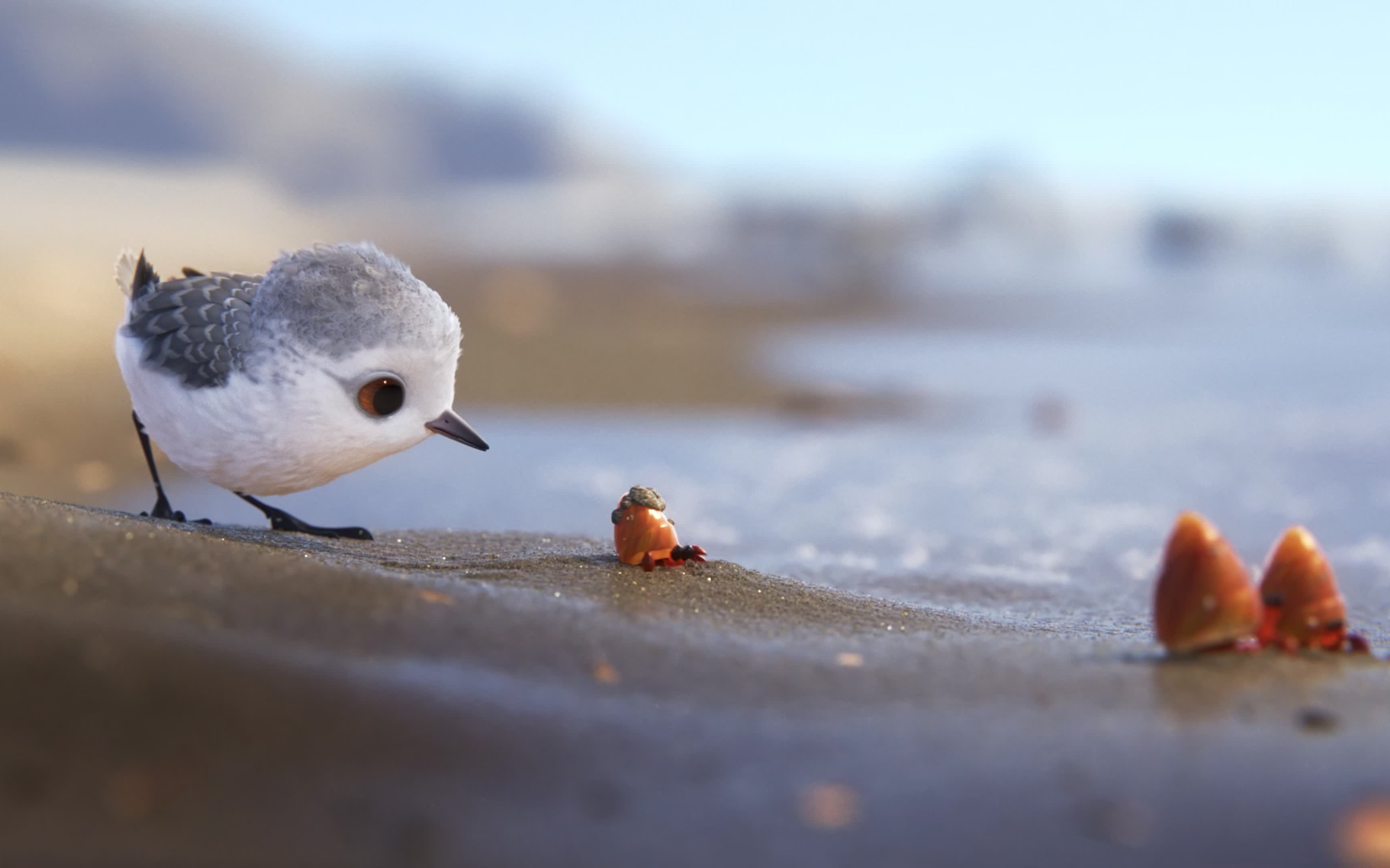 【4K/动画短片】鹬 Piper