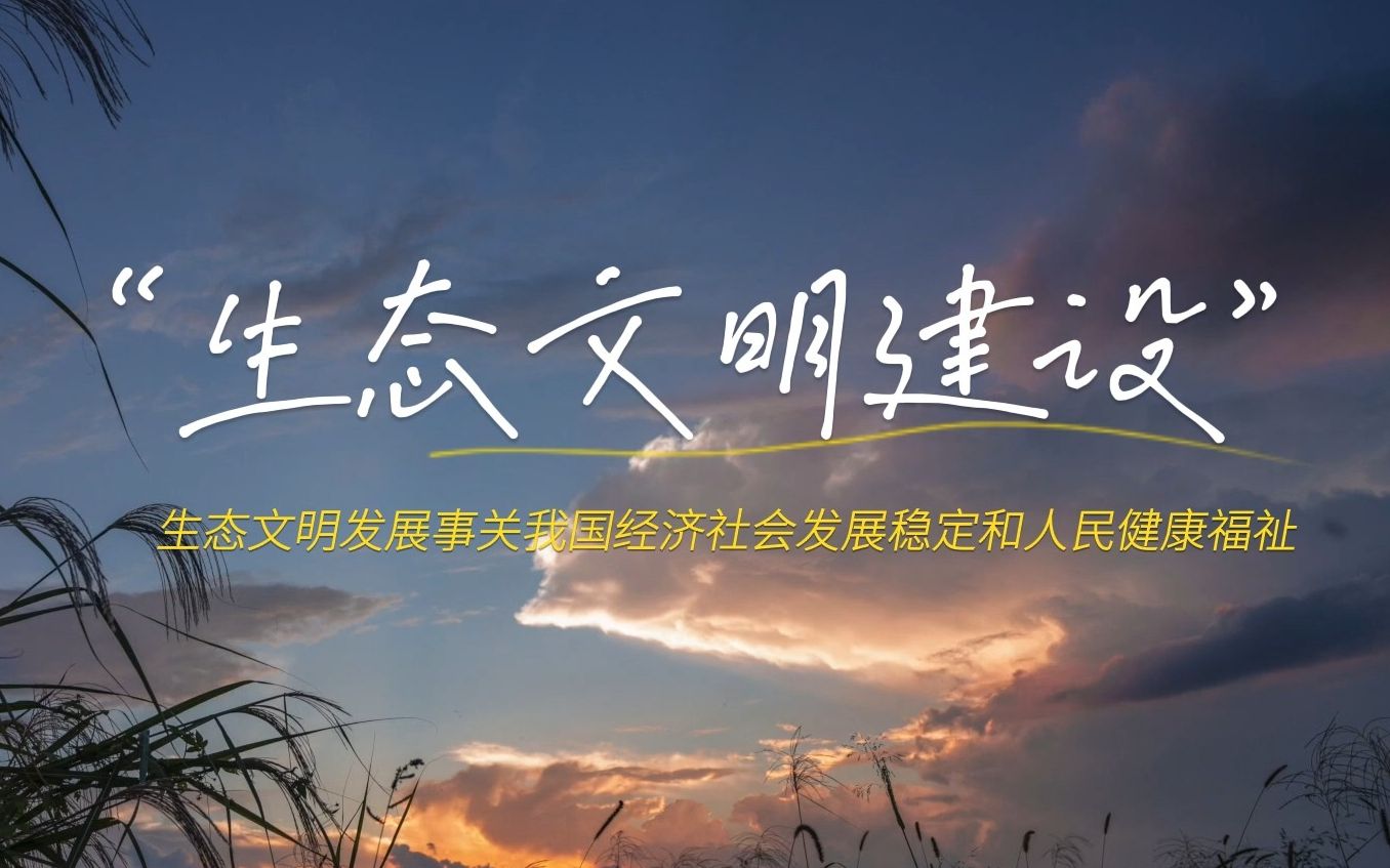 生态文明建设宣传视频作业