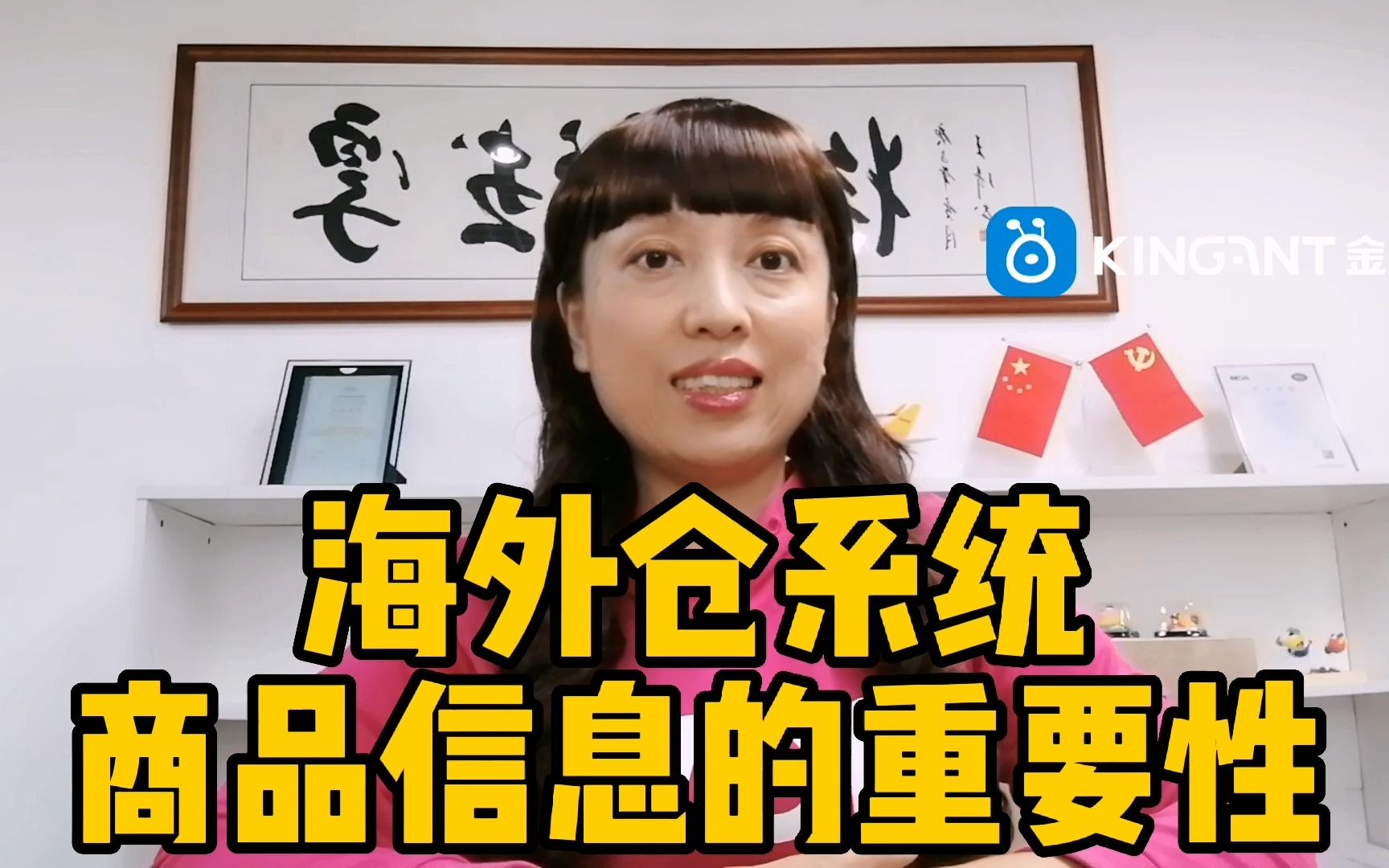 海外仓系统商品信息重要性~金蚁