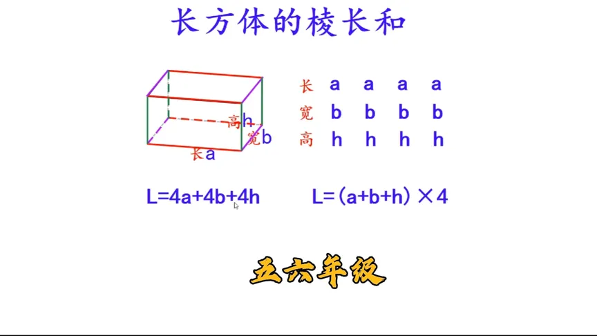 五六年级数学,长方体的棱长和--两个公式解析,理解才能灵活运用