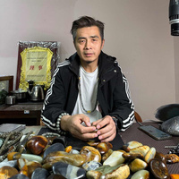 诚实的老土