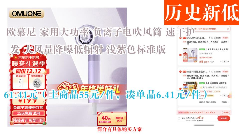 ...功率 负离子电吹风筒 速干护发 大风量降噪低辐射 浅紫色标准版None