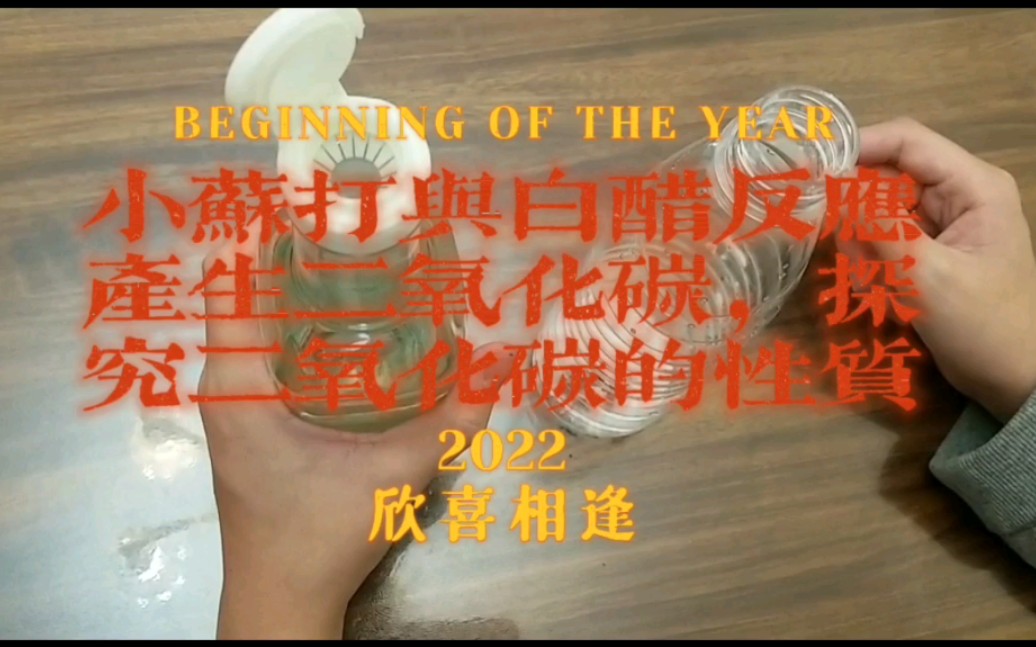小苏打与白醋反应产生二氧化碳,探究二氧化碳的性质—初中化学实验