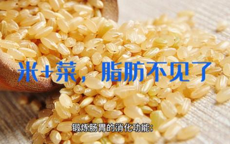 米+菜,脂肪不见了
