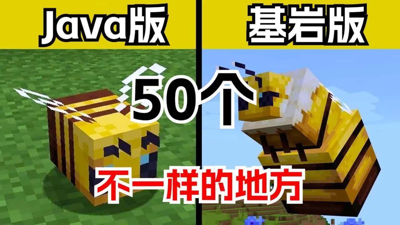 我的世界:JAVA版和基岩版50个不一样的地方