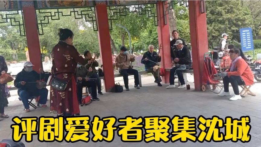 他们现在还能聚集在公园 唱评剧使我们想起了沈阳评剧院功不可没