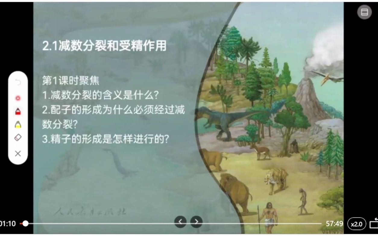 减数分裂与受精作用