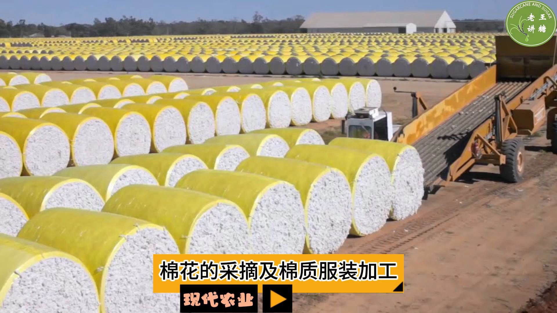 现代农业之——棉花的采摘及棉质服装加工(老王讲糖系列视频)