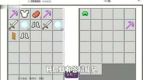 功能齐全的2b2t服务器