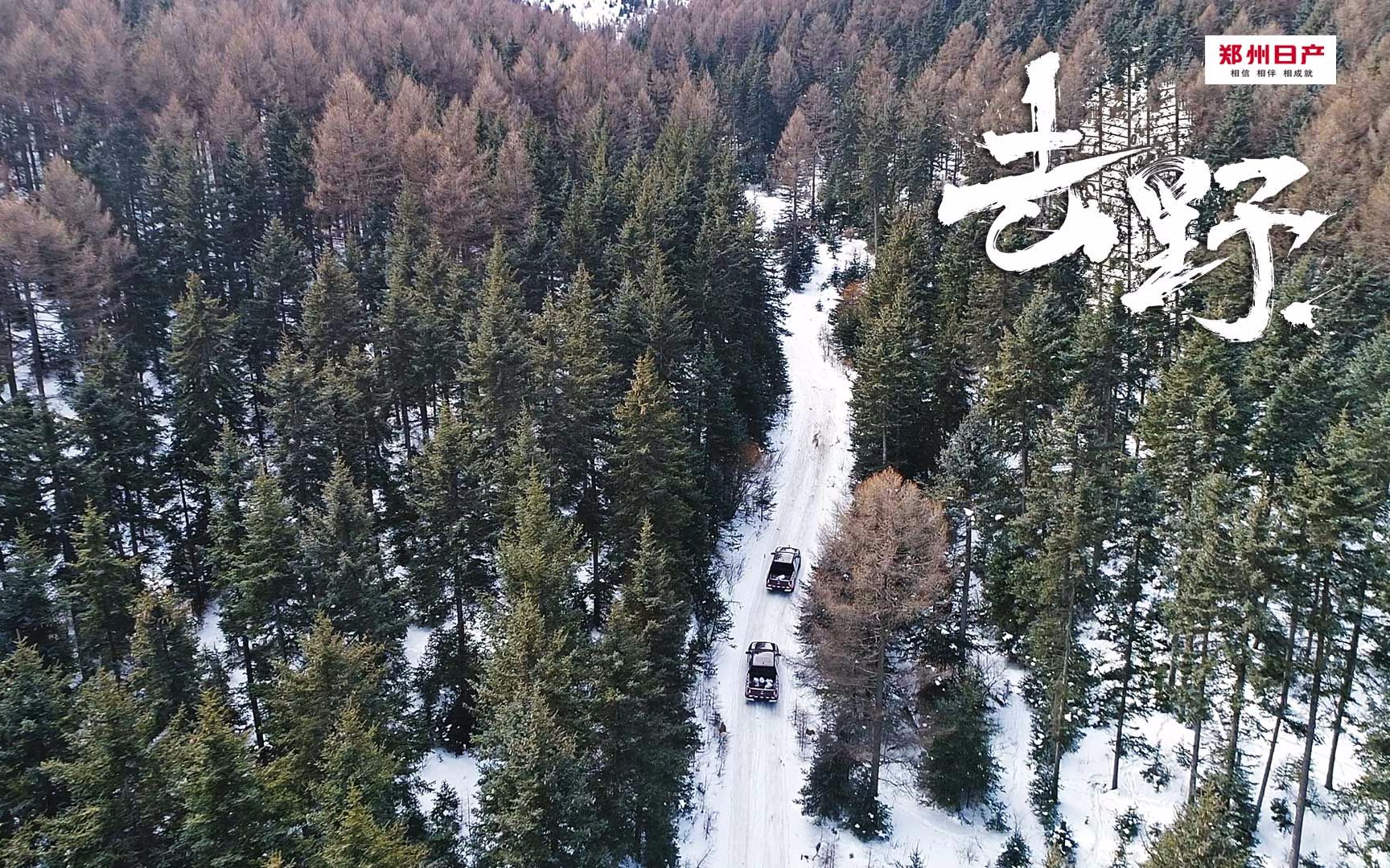 号称皮卡性价比之王 落地只要10多万 被国人称为日产猛禽